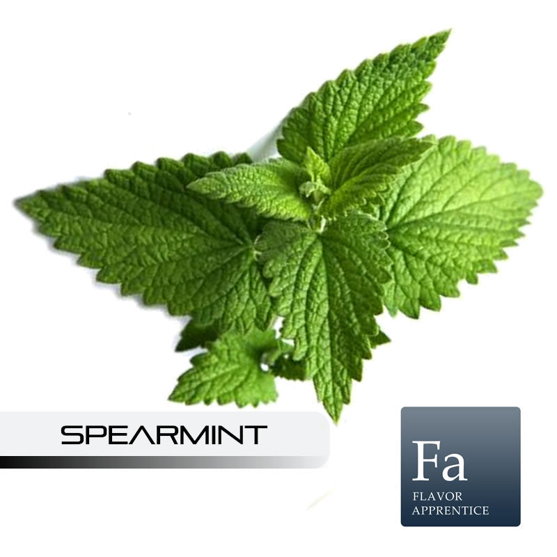 Spearmint Flavour Concentrate by Flavor Apprentice