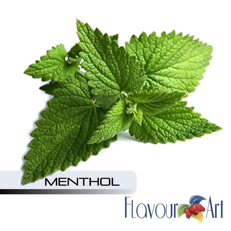 Menthol Flavour Concentrate by FlavourArt
